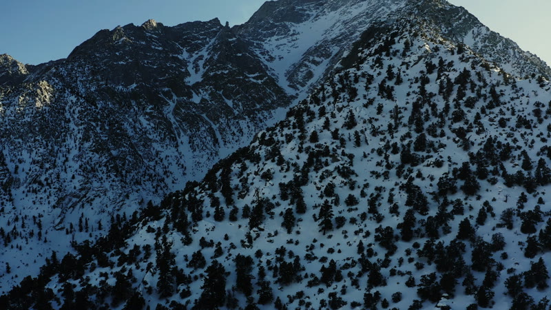 Alpine | Visual Revival