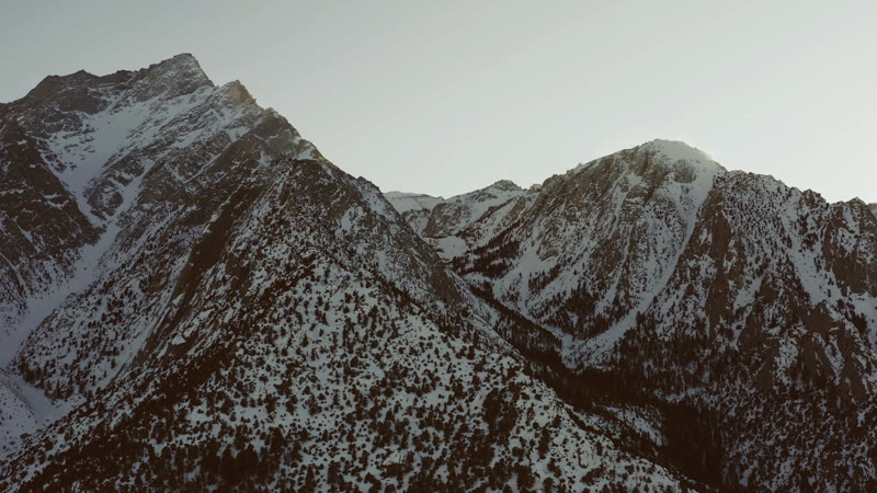 Alpine | Visual Revival