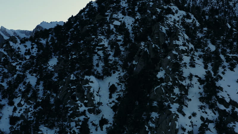 Alpine | Visual Revival