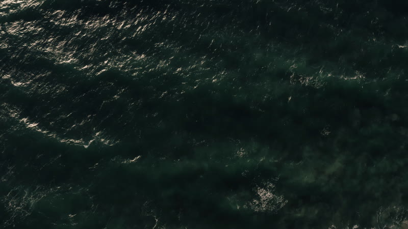 Shoreline | Visual Revival