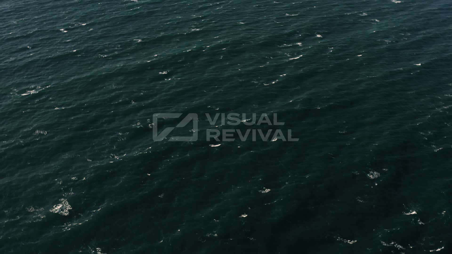 Shoreline Still 07 | Visual Revival