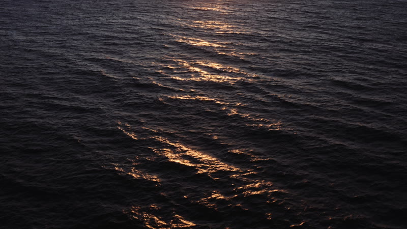 Ocean Dusk | Visual Revival