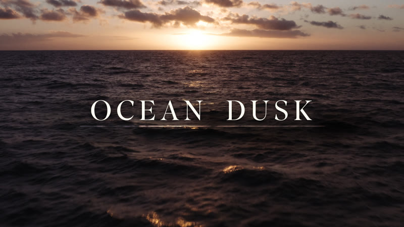 Ocean Dusk | Visual Revival