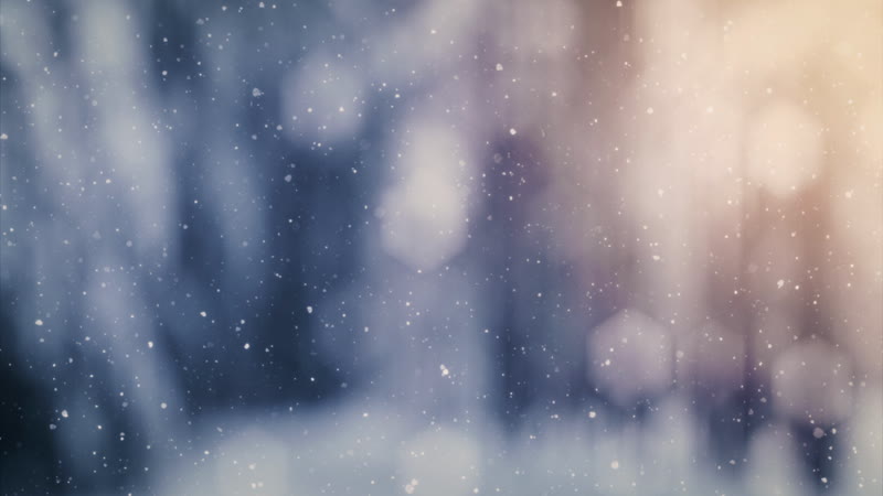 Snow Shimmer | Visual Revival