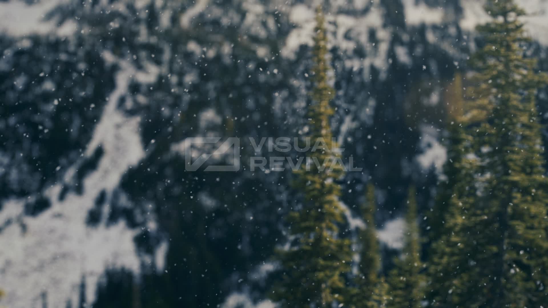 First Snow Still 03 | Visual Revival