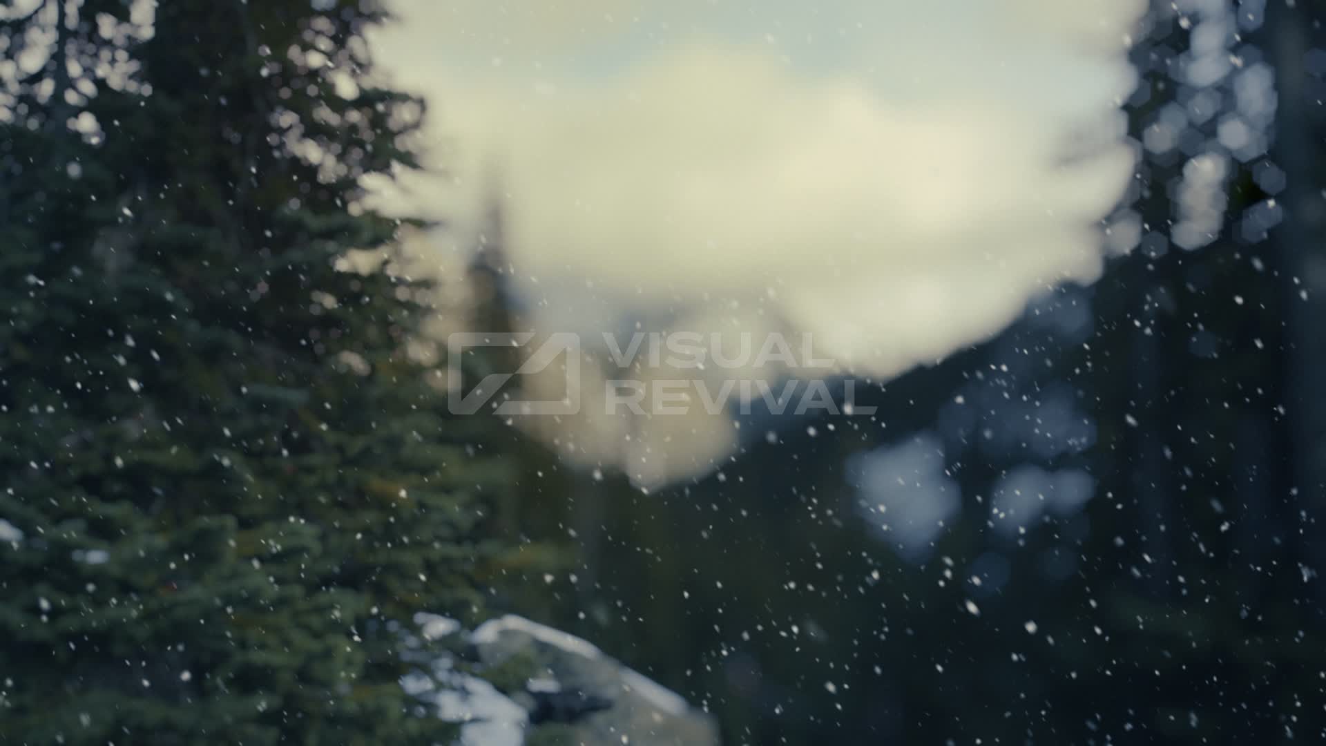 First Snow Still 05 | Visual Revival