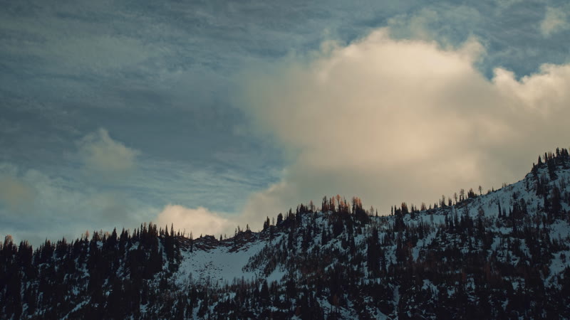 Indigo Ridge | Visual Revival