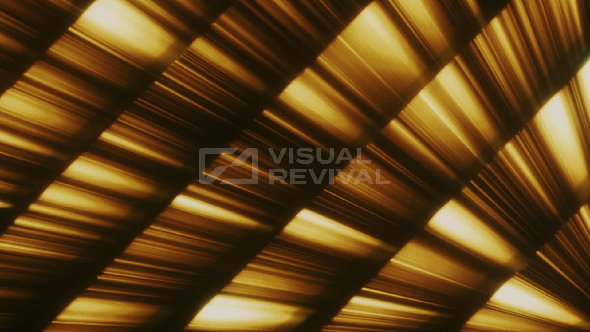 Radiant Still 05 | Visual Revival