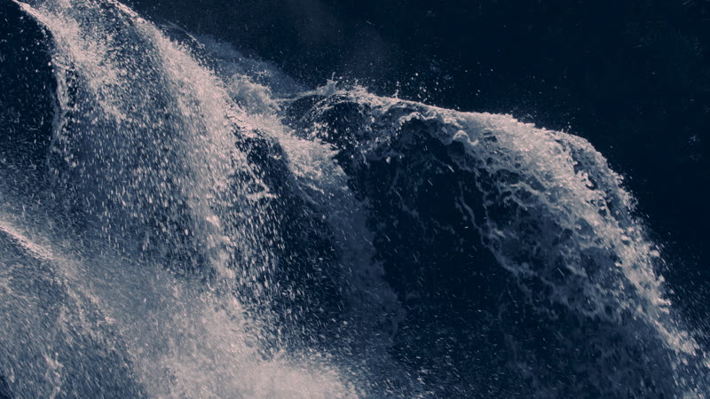 River Rush | Visual Revival