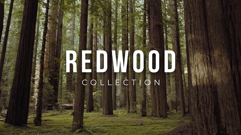 Redwood | Visual Revival