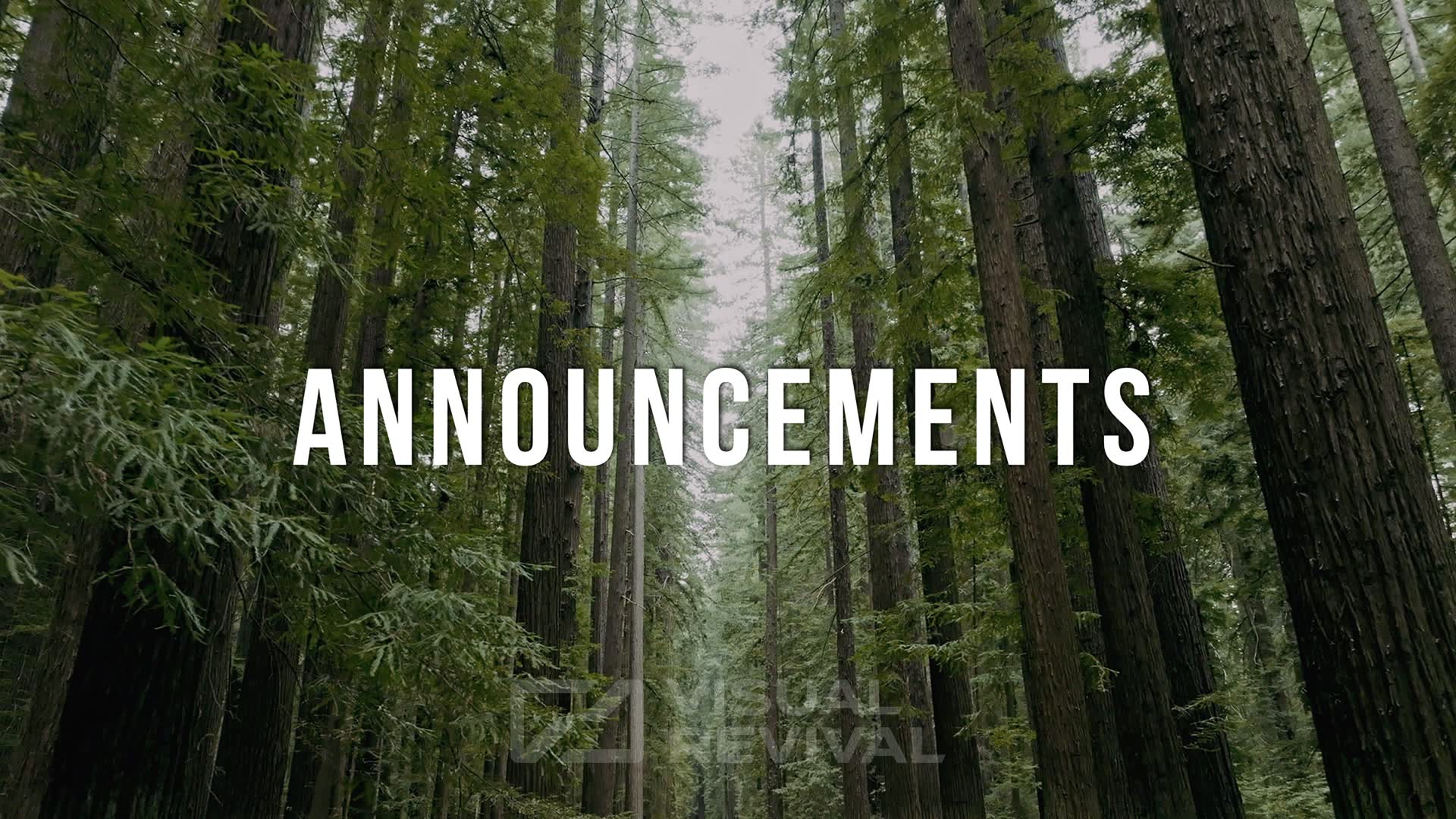 Redwood Title Slide - Announcements | Visual Revival