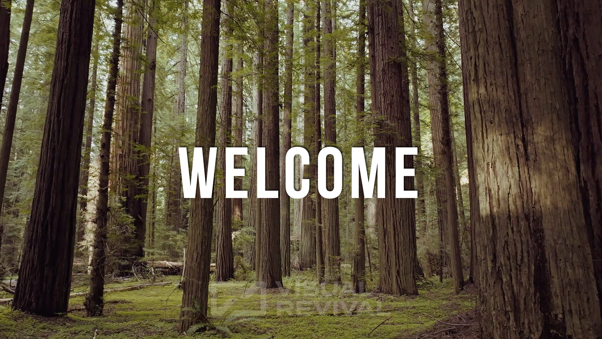 Redwood Title Slide - Welcome | Visual Revival