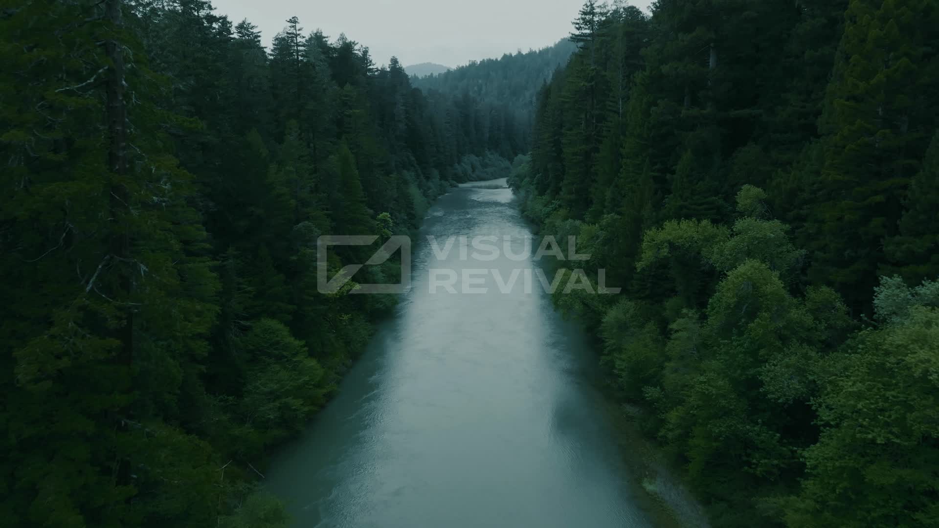 Redwood River Still 02 | Visual Revival