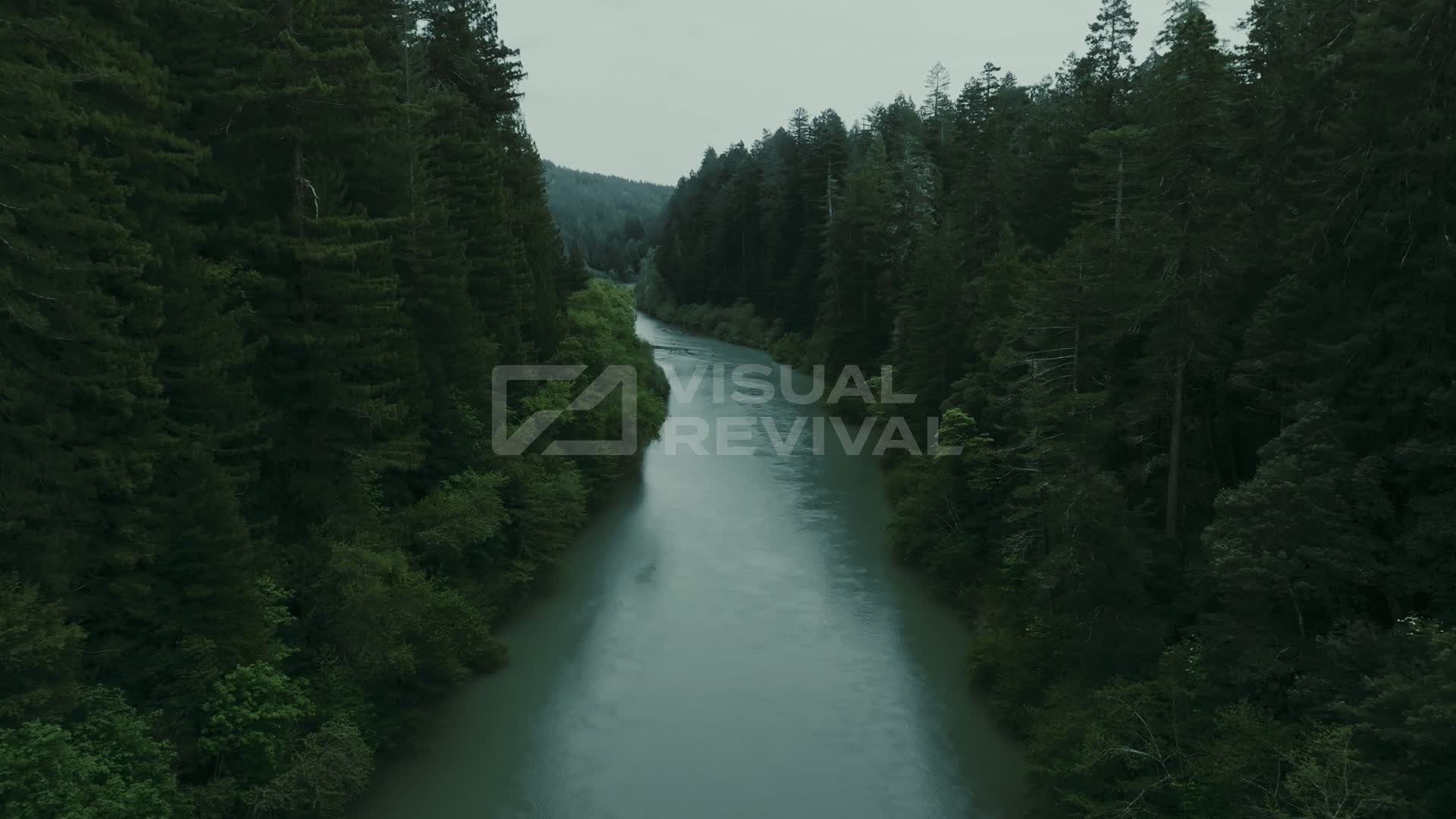 Redwood River Still 07 | Visual Revival