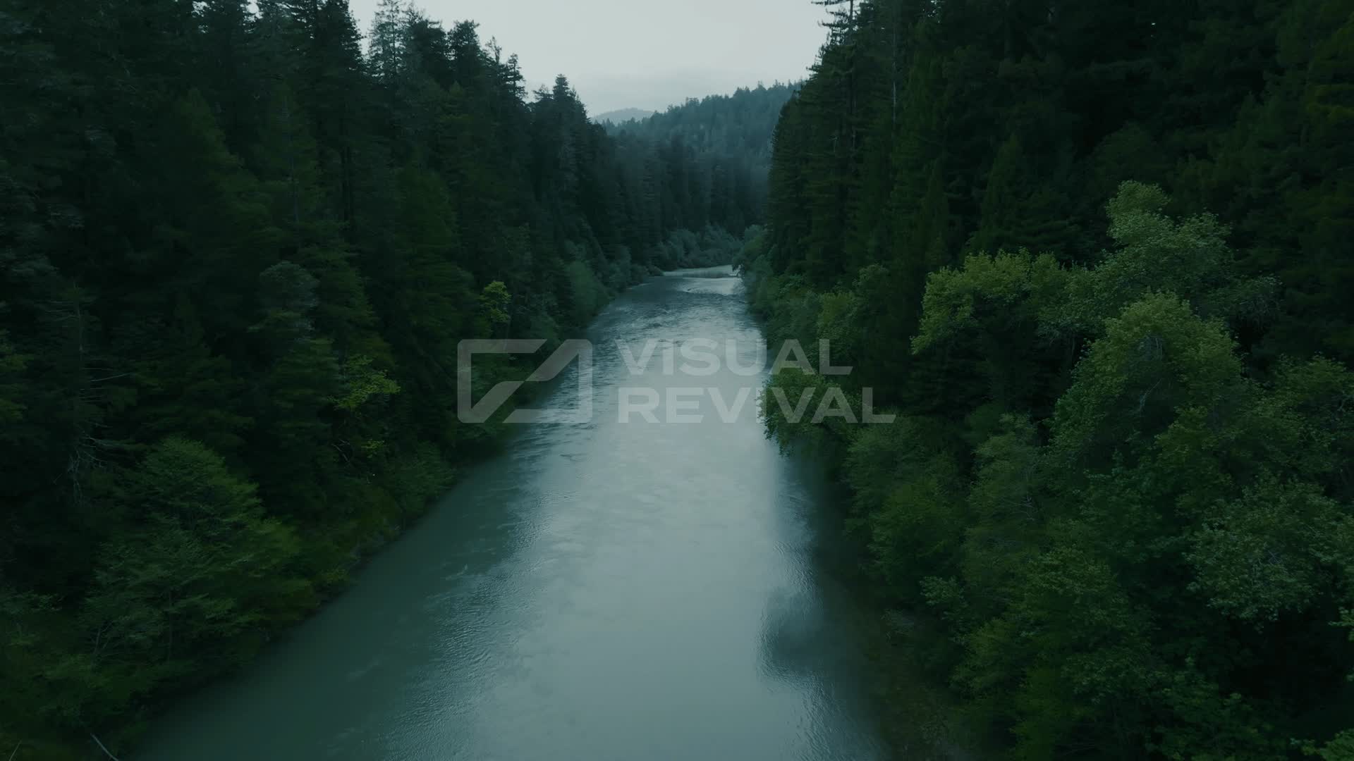 Redwood River Still 10 | Visual Revival