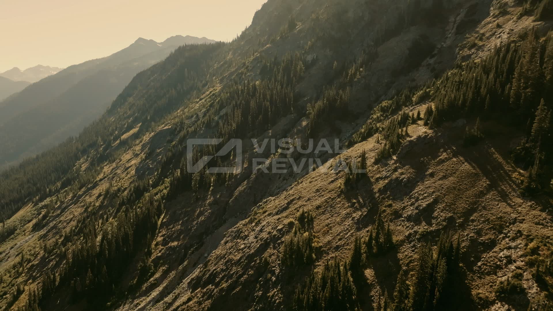 Summer Range Still 02 | Visual Revival