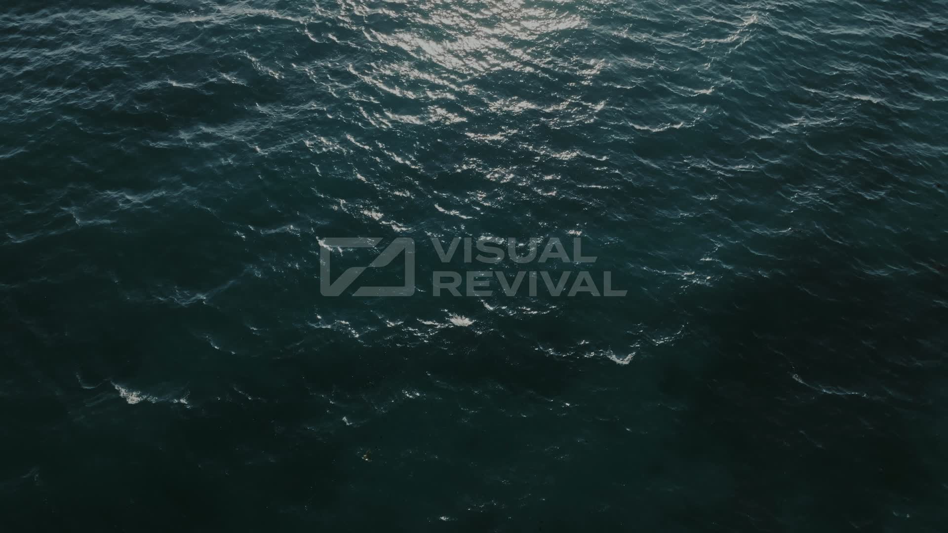 Endless Ocean Still 04 | Visual Revival