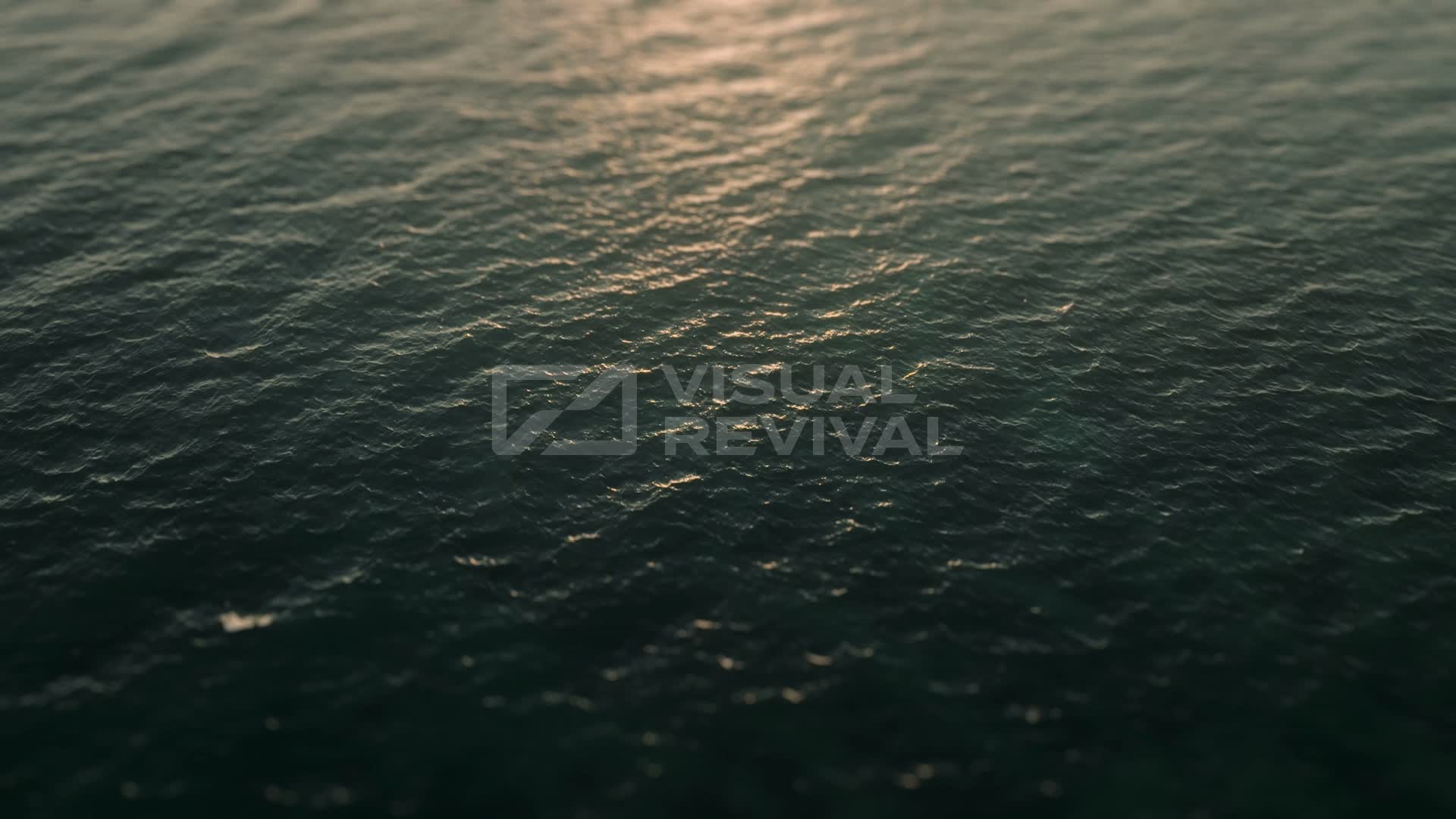 Endless Ocean Still 13 | Visual Revival