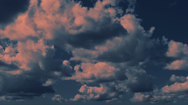 Vivid Skies | Visual Revival