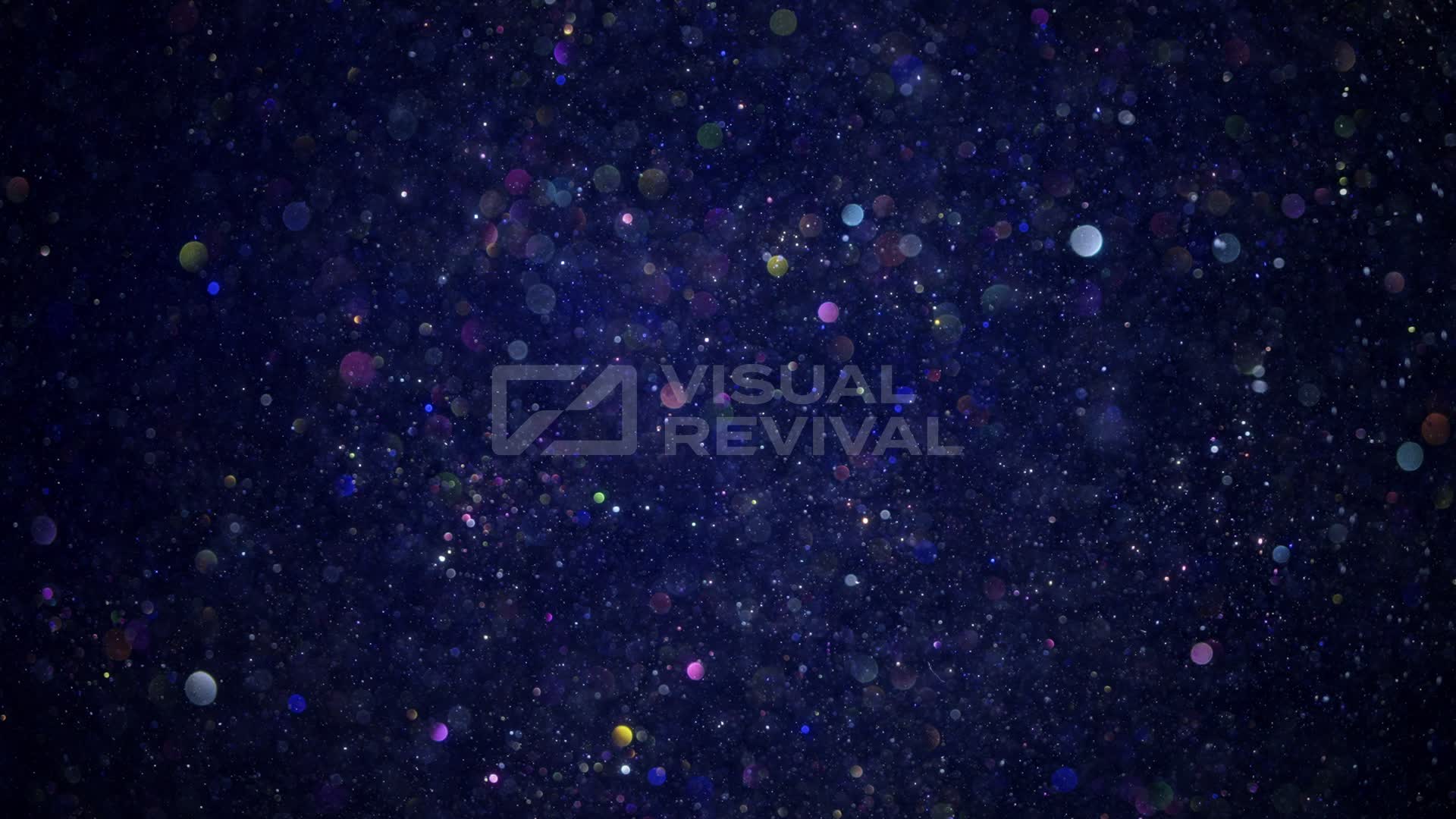 Stardust Still 04 | Visual Revival