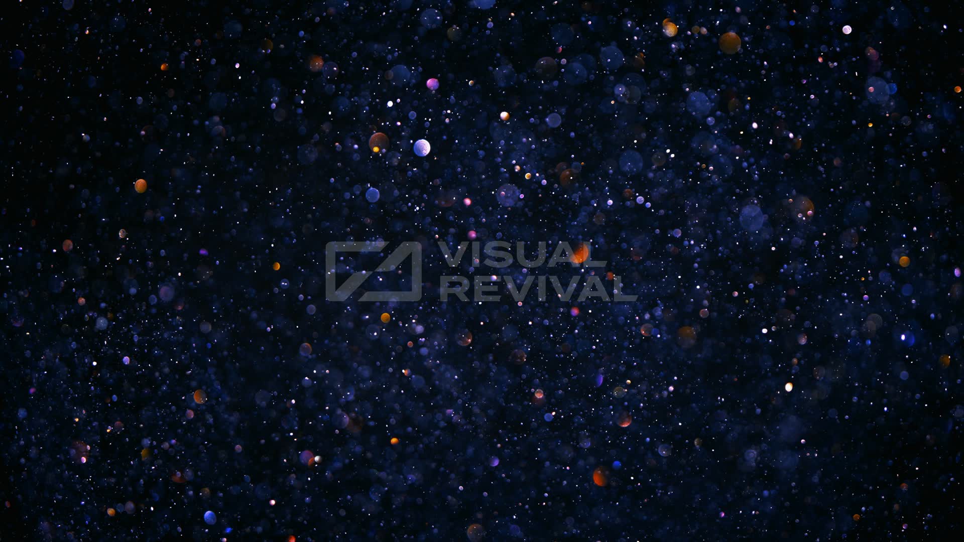 Stardust Still 05 | Visual Revival