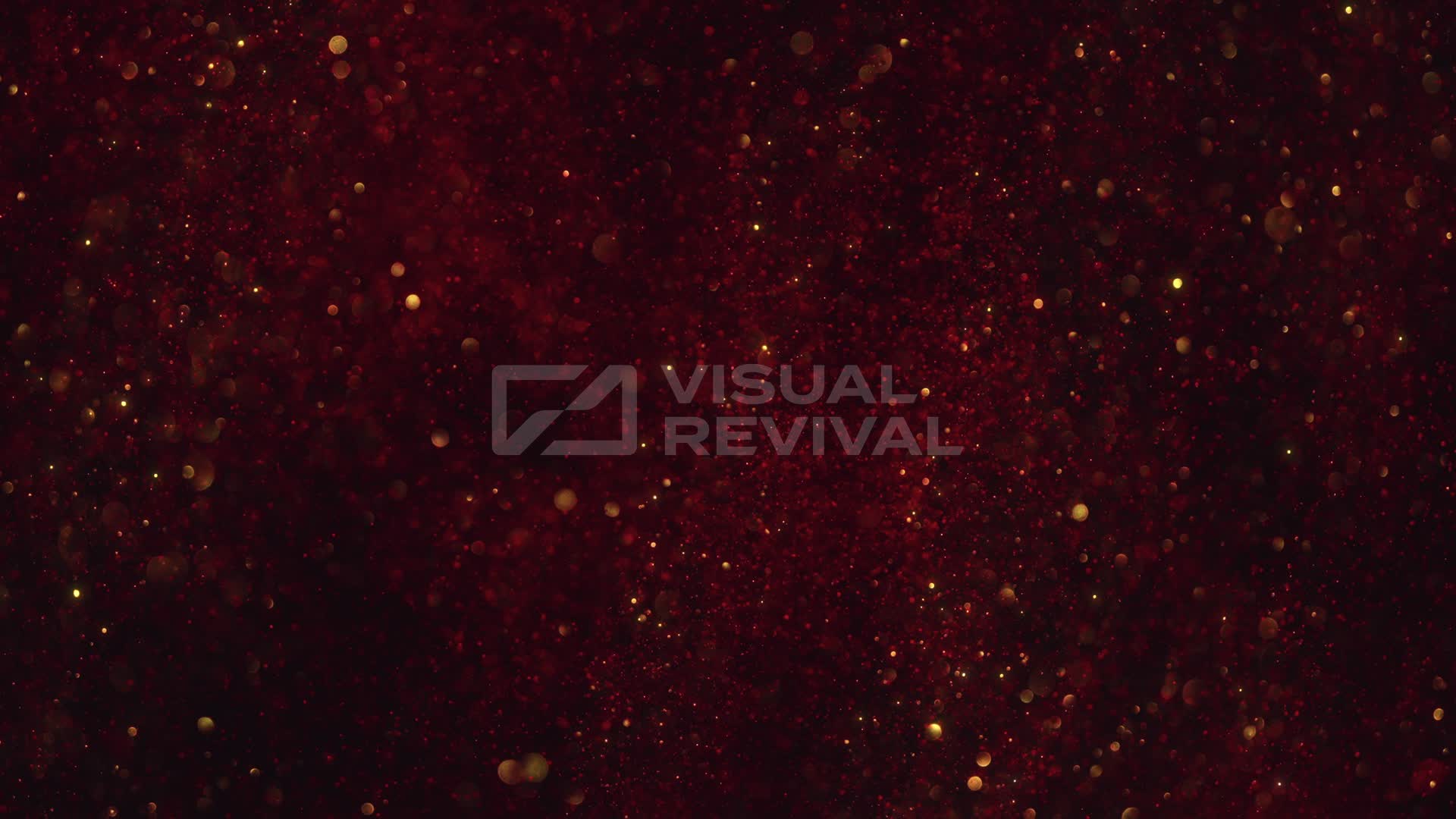 Stardust Still 08 | Visual Revival