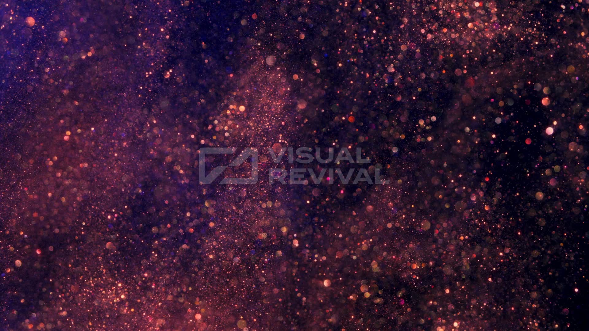 Stardust Still 13 | Visual Revival