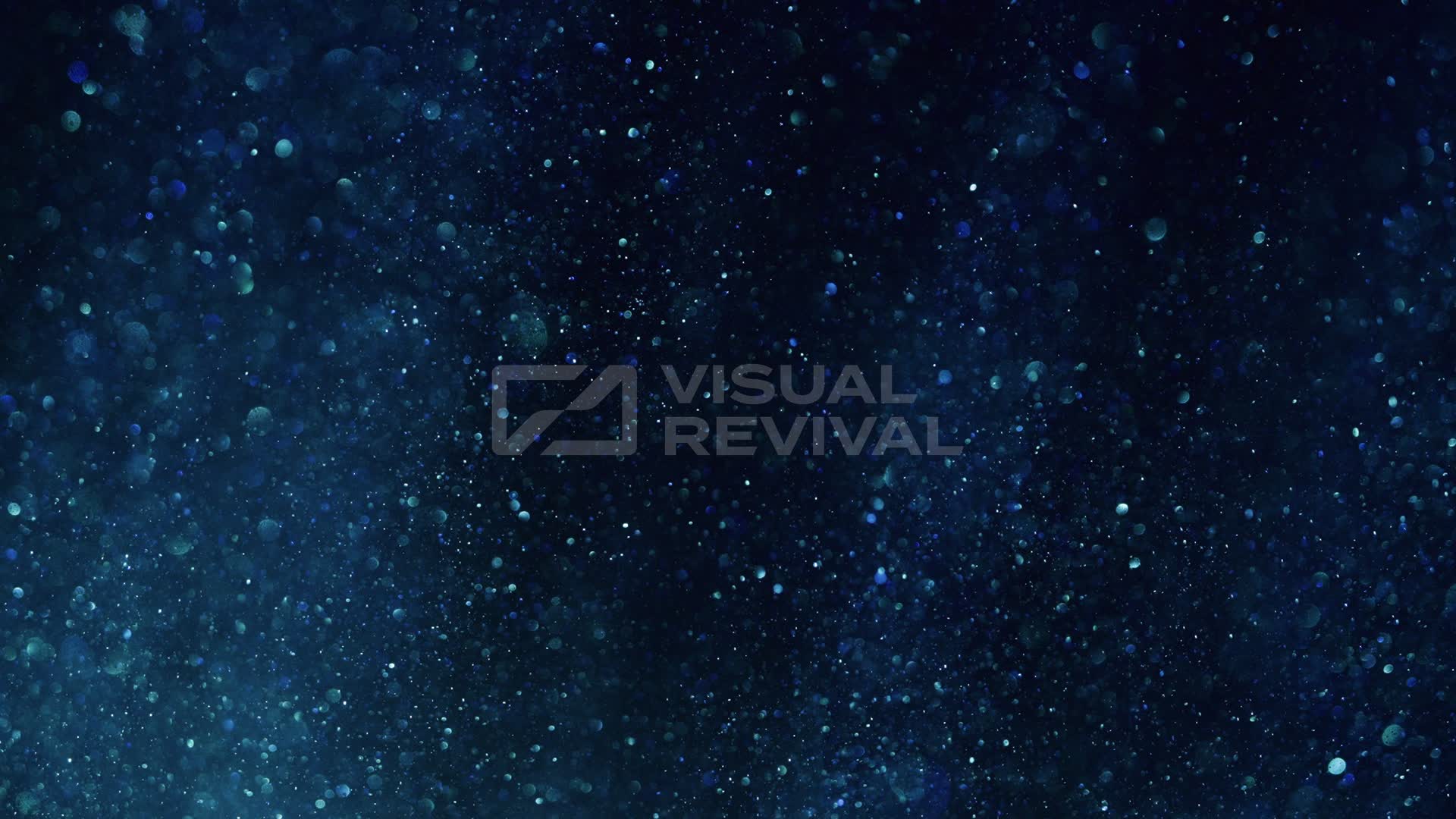 Stardust Still 19 | Visual Revival