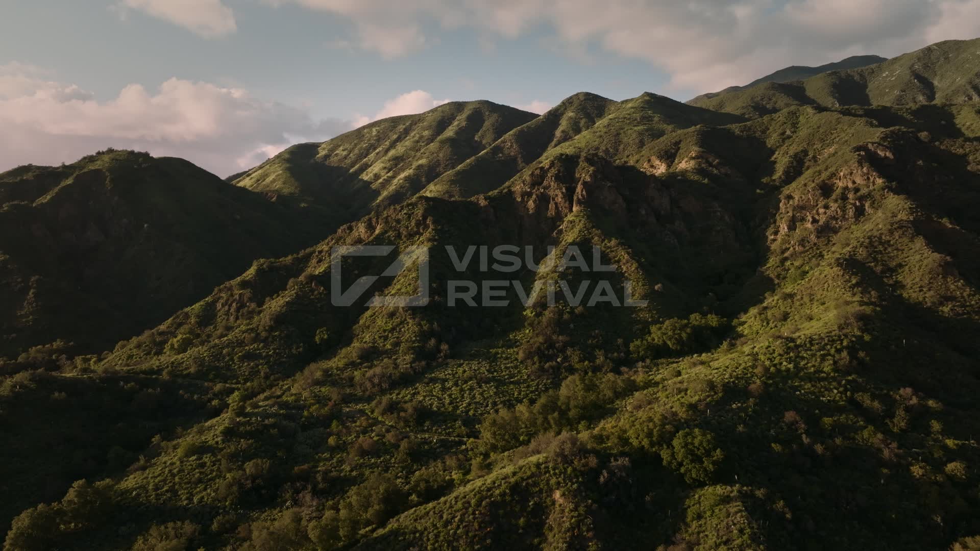 Foothills Still 03 | Visual Revival