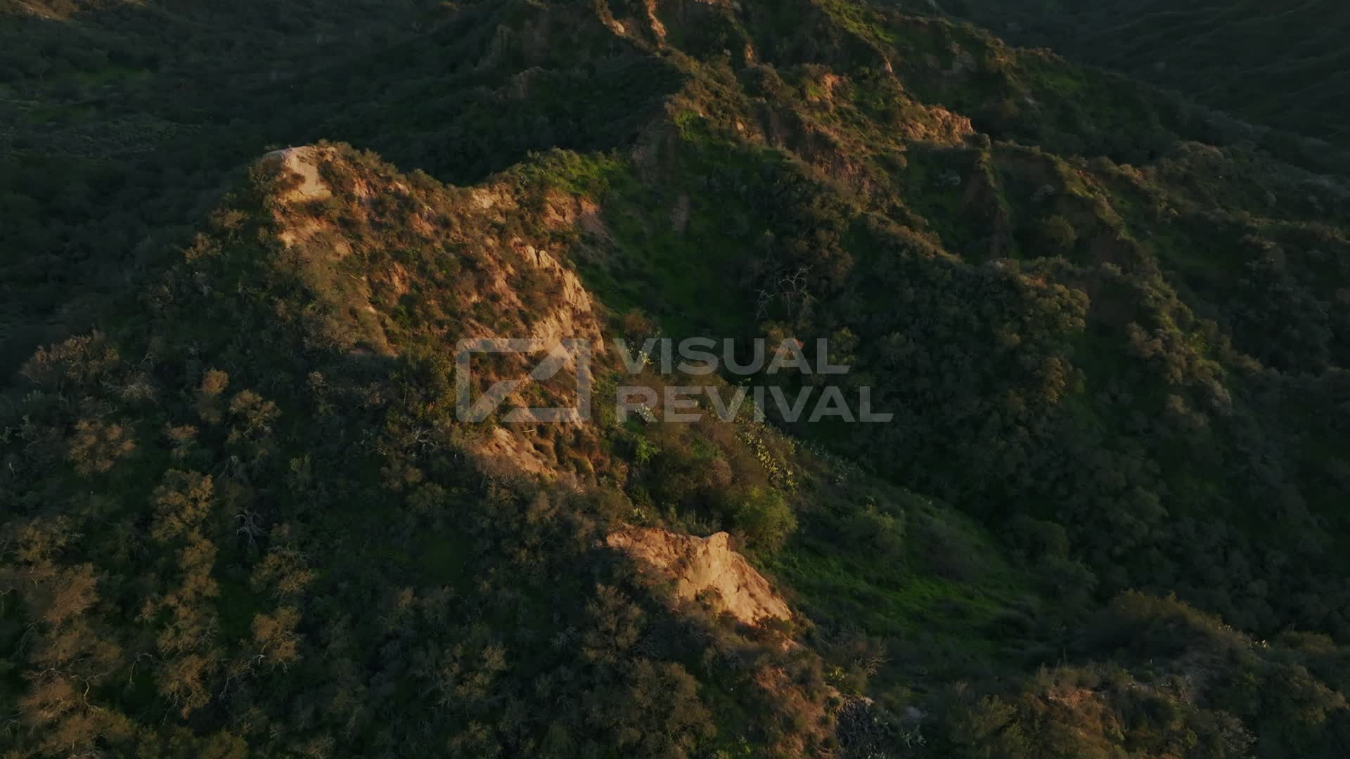 Foothills Still 13 | Visual Revival