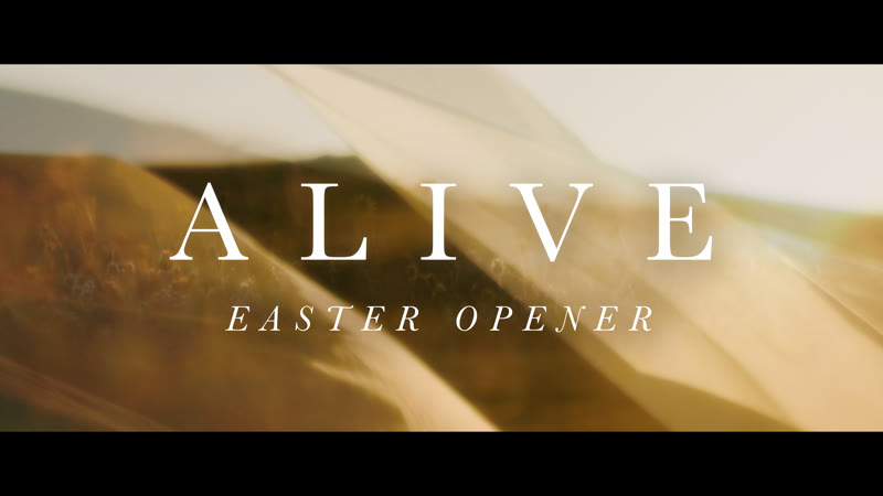 Alive | Visual Revival