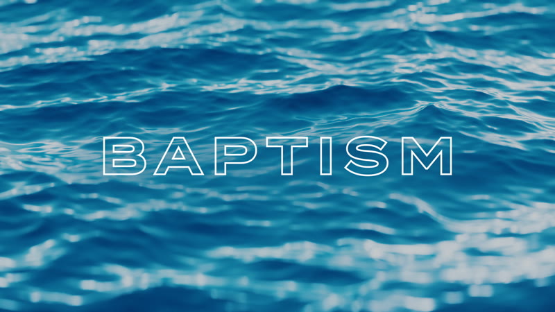 Expanse | Visual Revival