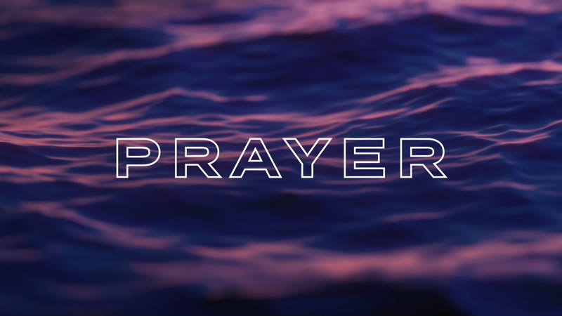 Expanse | Visual Revival