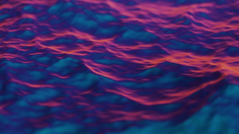 Expanse | Visual Revival