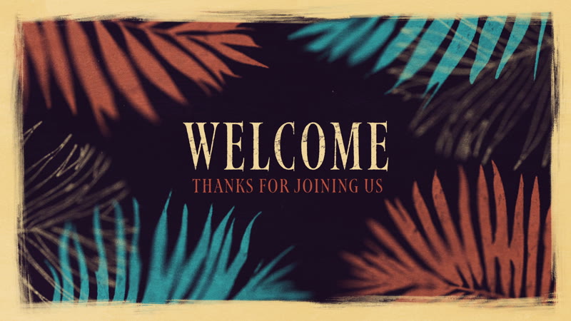 Titles | Visual Revival