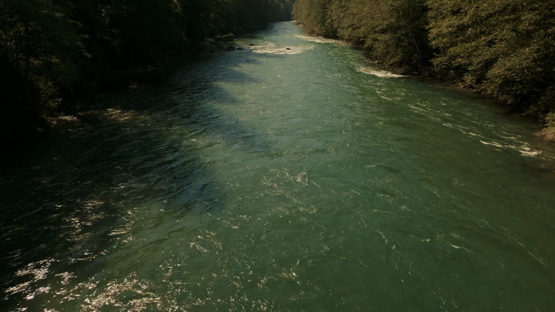 Forest River | Visual Revival