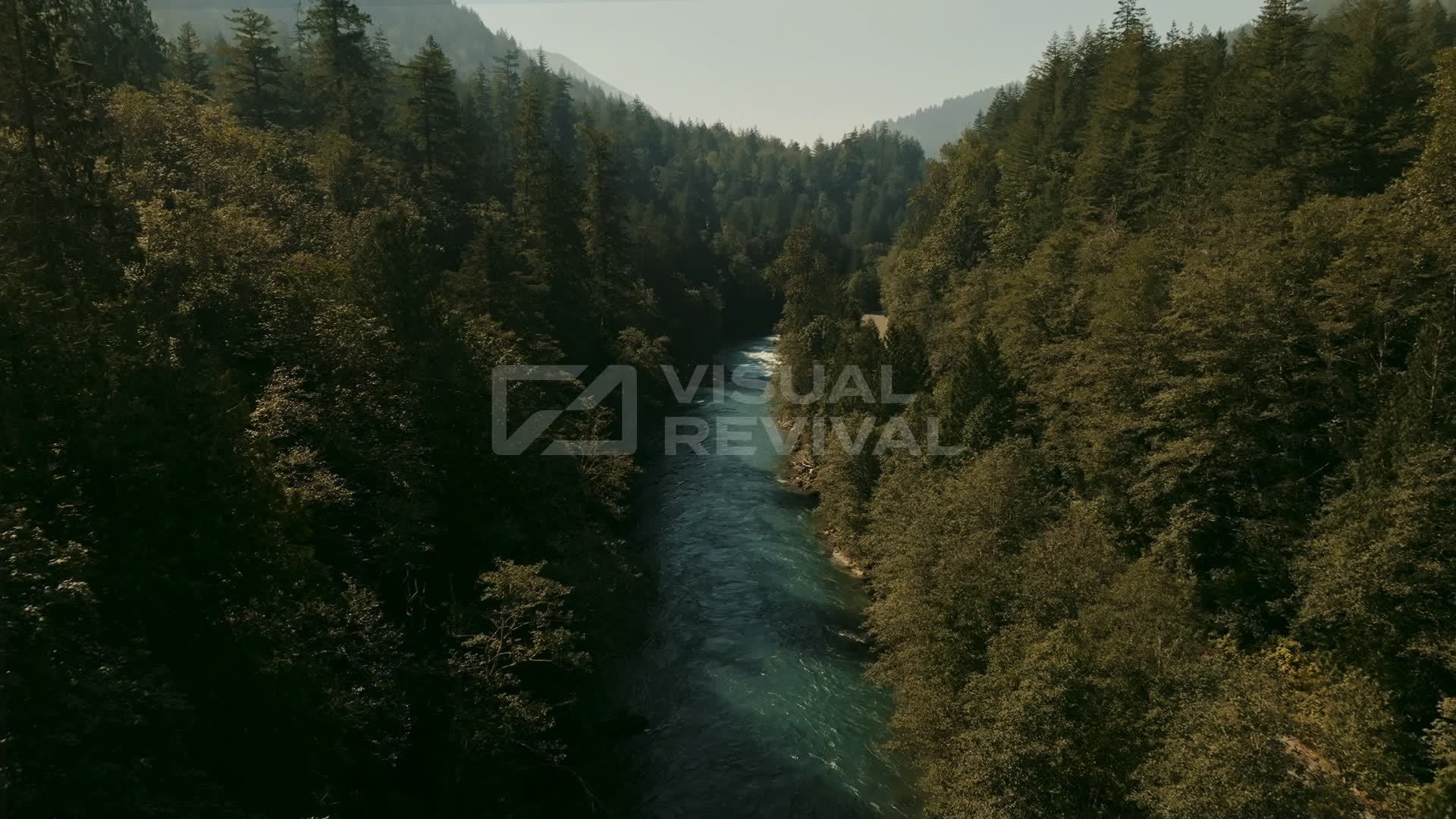 Forest River Still 04 | Visual Revival