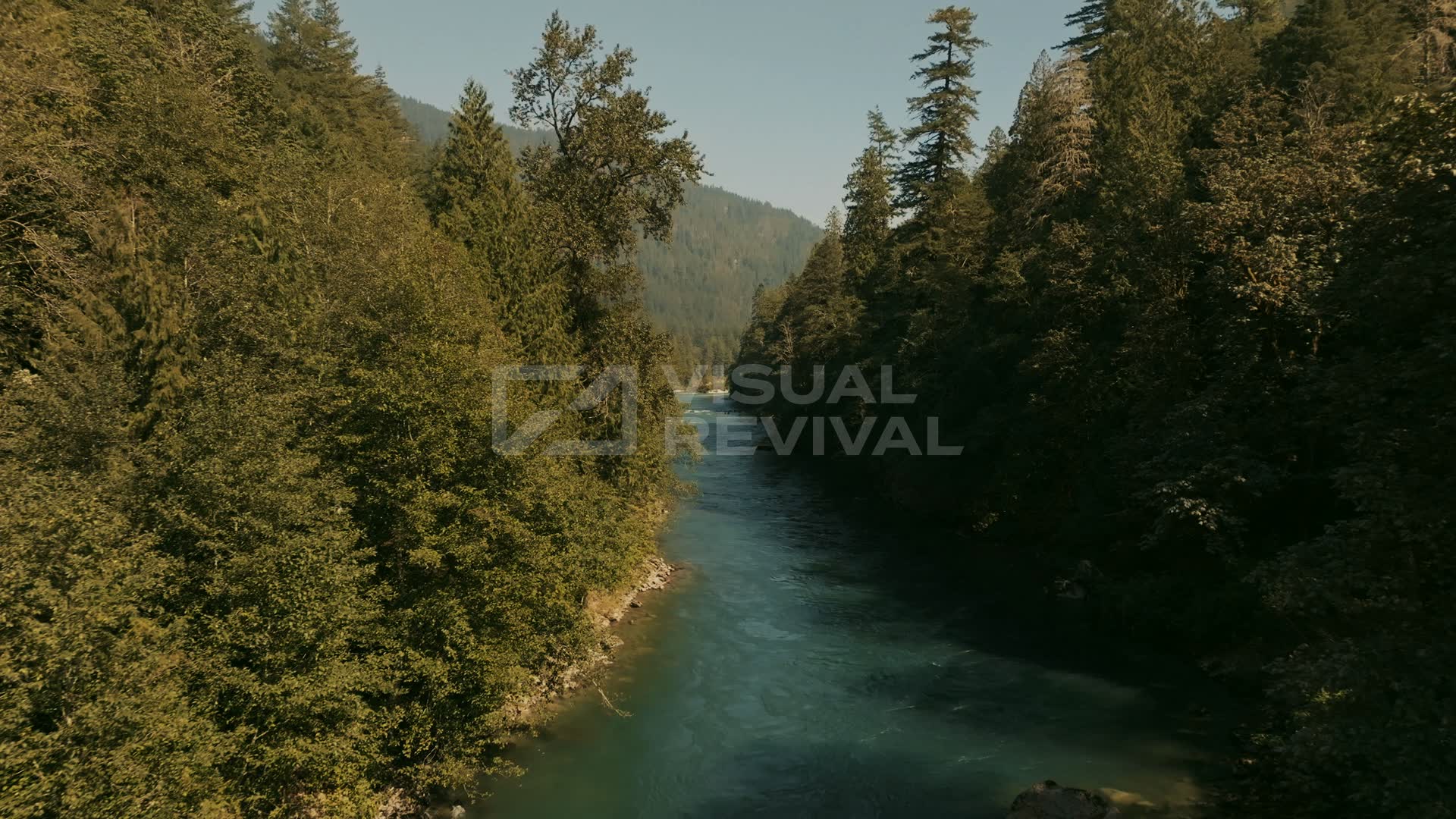 Forest River Still 05 | Visual Revival