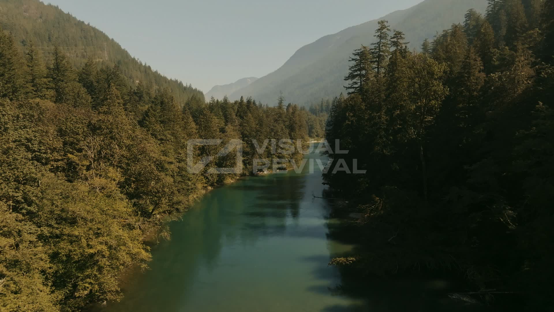 Forest River Still 06 | Visual Revival