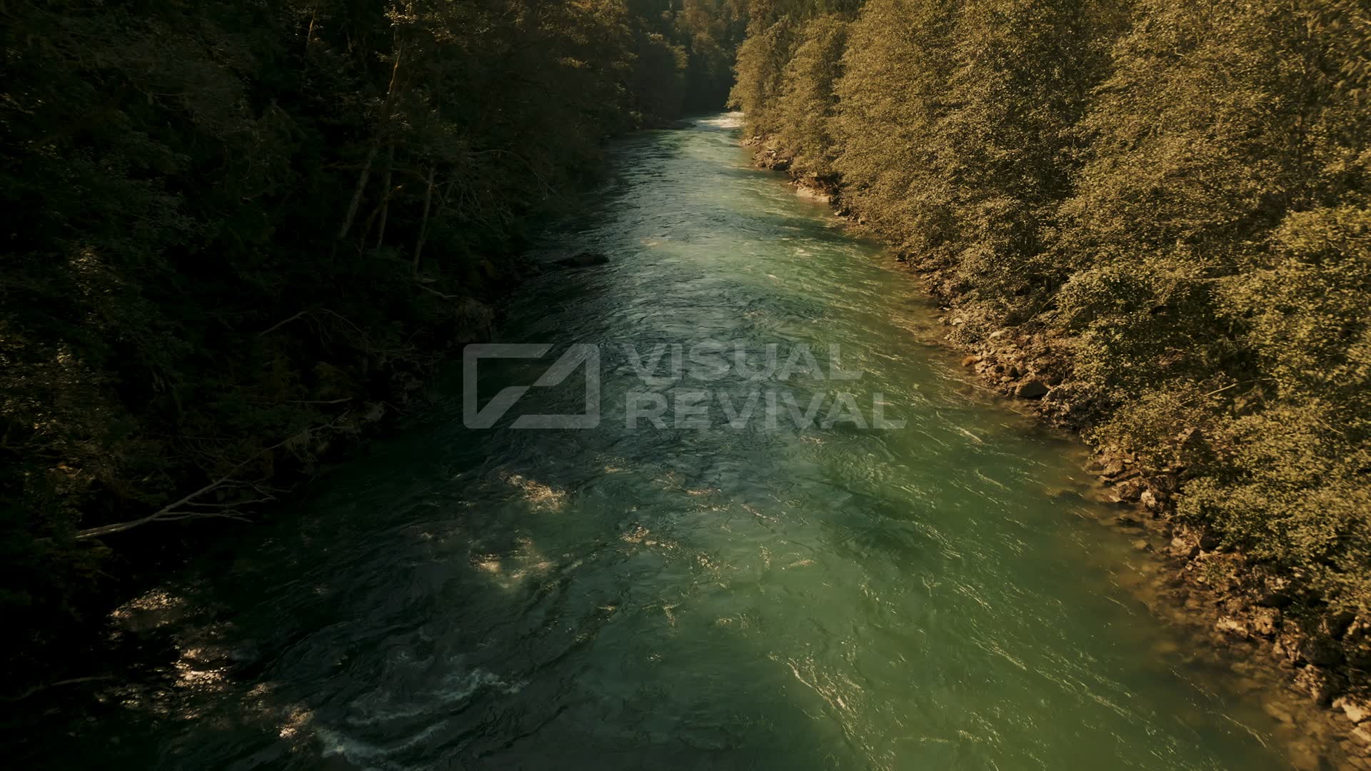 Forest River Still 09 | Visual Revival