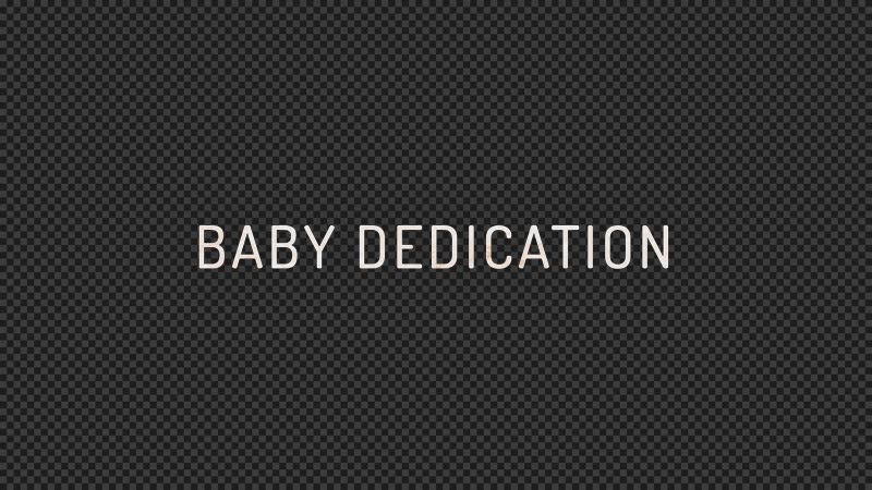 Forest River | Visual Revival