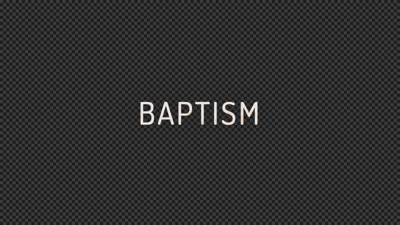 Forest River | Visual Revival