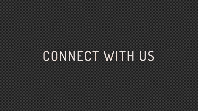 Forest River | Visual Revival