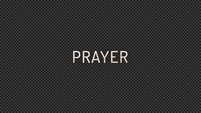 Forest River | Visual Revival