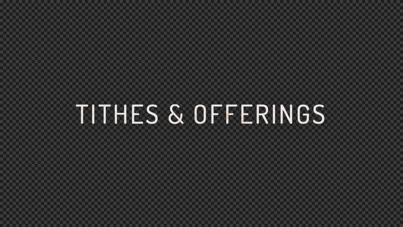 Forest River | Visual Revival