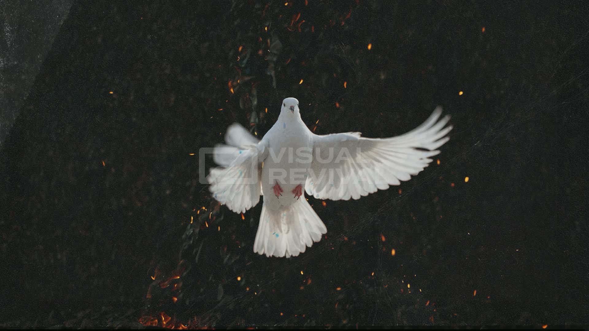 Pentecost Textures Still 05 | Visual Revival