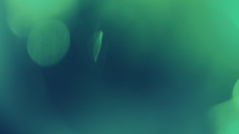 Scattered Light | Visual Revival