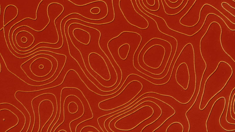 Topo Forms | Visual Revival