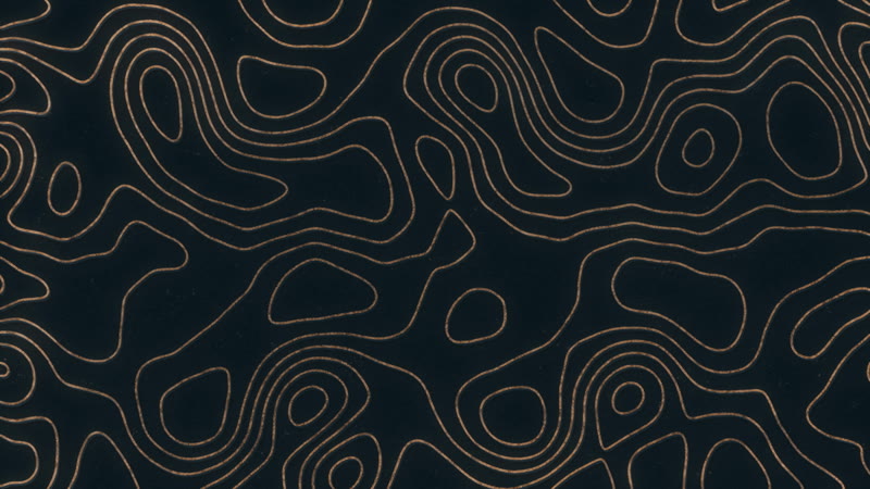 Topo Forms | Visual Revival