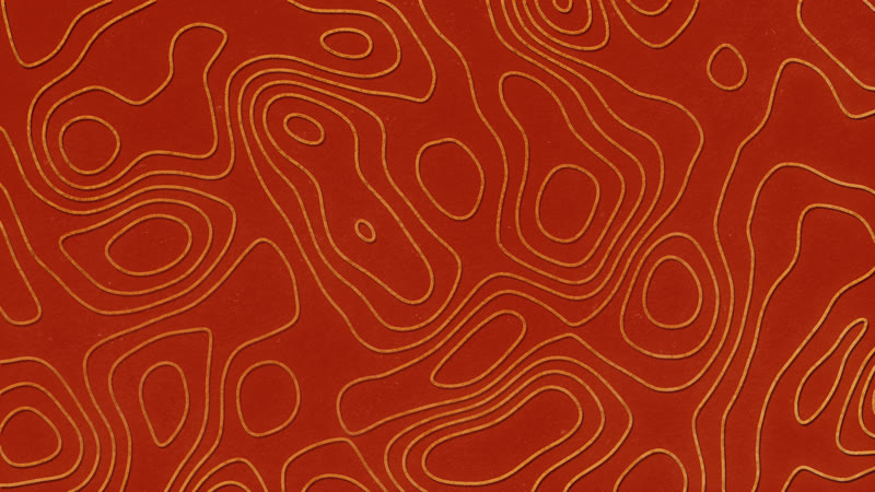 Topo Forms | Visual Revival